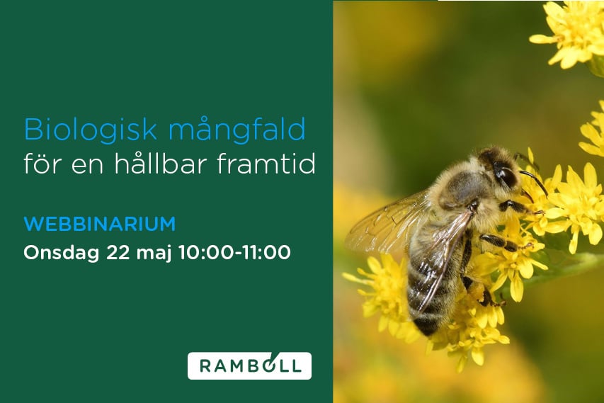 Webbinarium - Registrera dig för att se inspelningen Biologisk mångfald ...